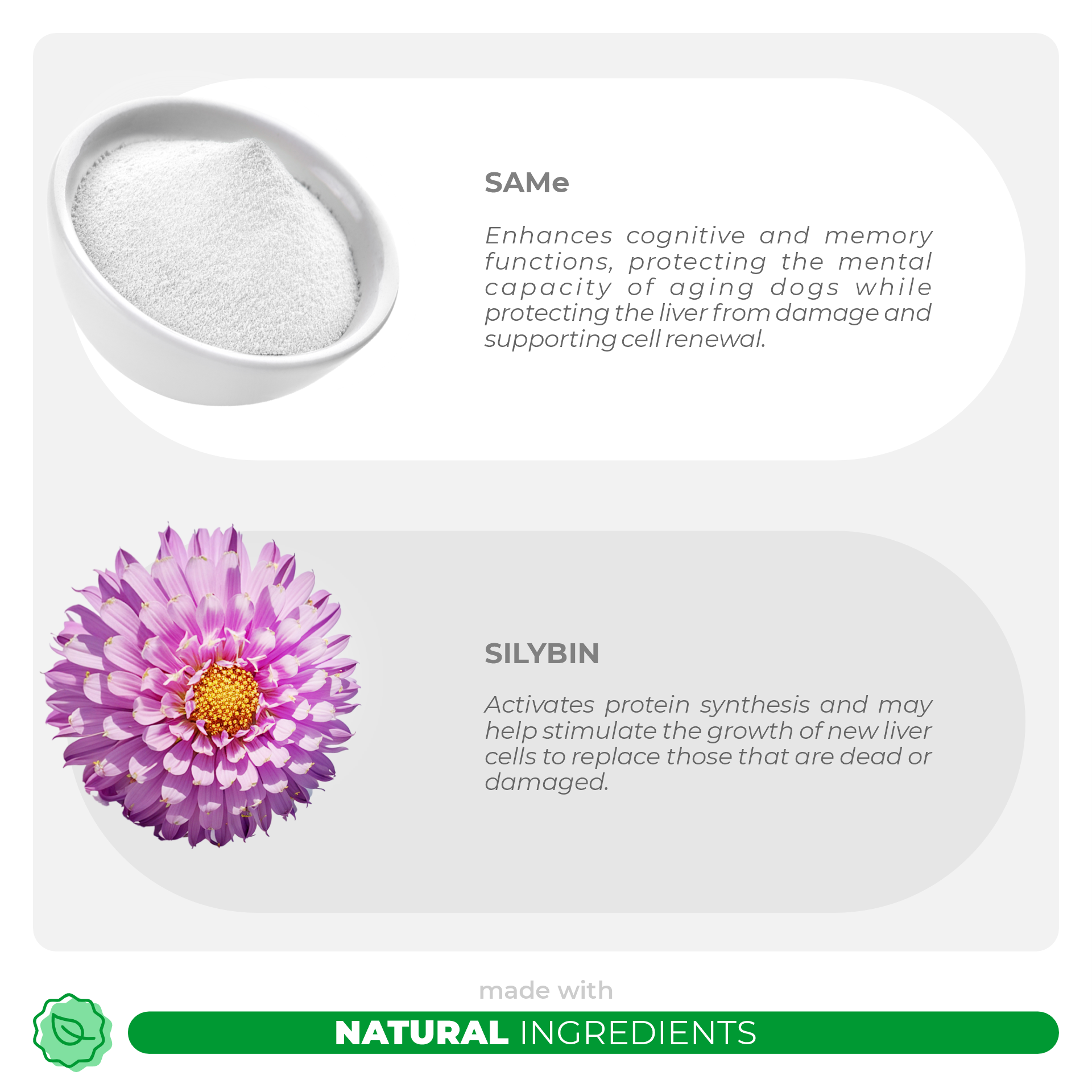 Same and Silybin for Cats - 120g - S-Adenosyl-L-Methionine, Same, Live ...